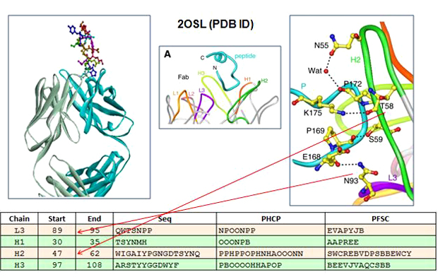 Protein Structure Fingerprint