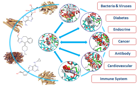 Protein Structure Fingerprint